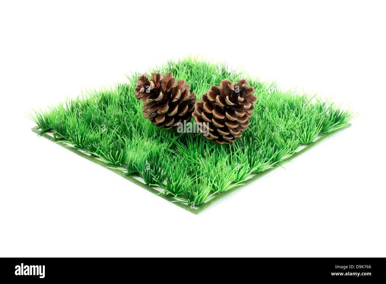 Fir cones on lawn Stock Photo - Alamy