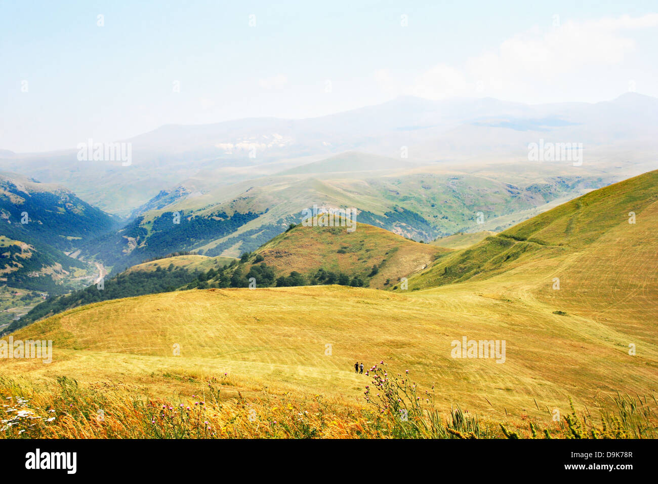 Armenian landscape with mountains, forests and meadows Stock Photo - Alamy