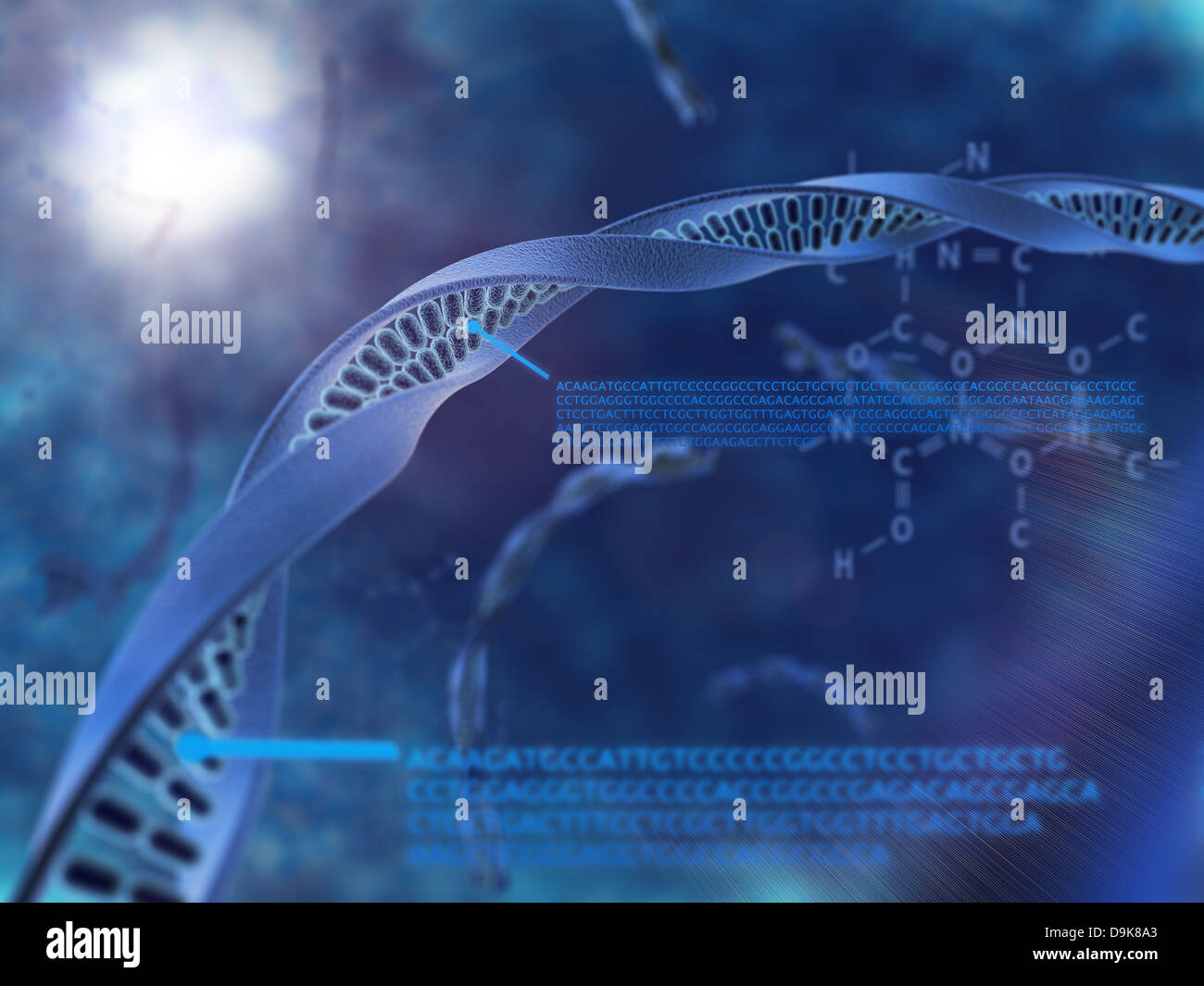 Adn hi-res stock photography and images - Alamy