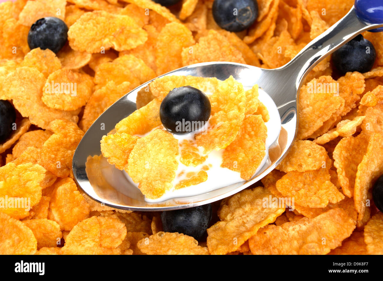 Cornflakes with blueberrys Stock Photo - Alamy