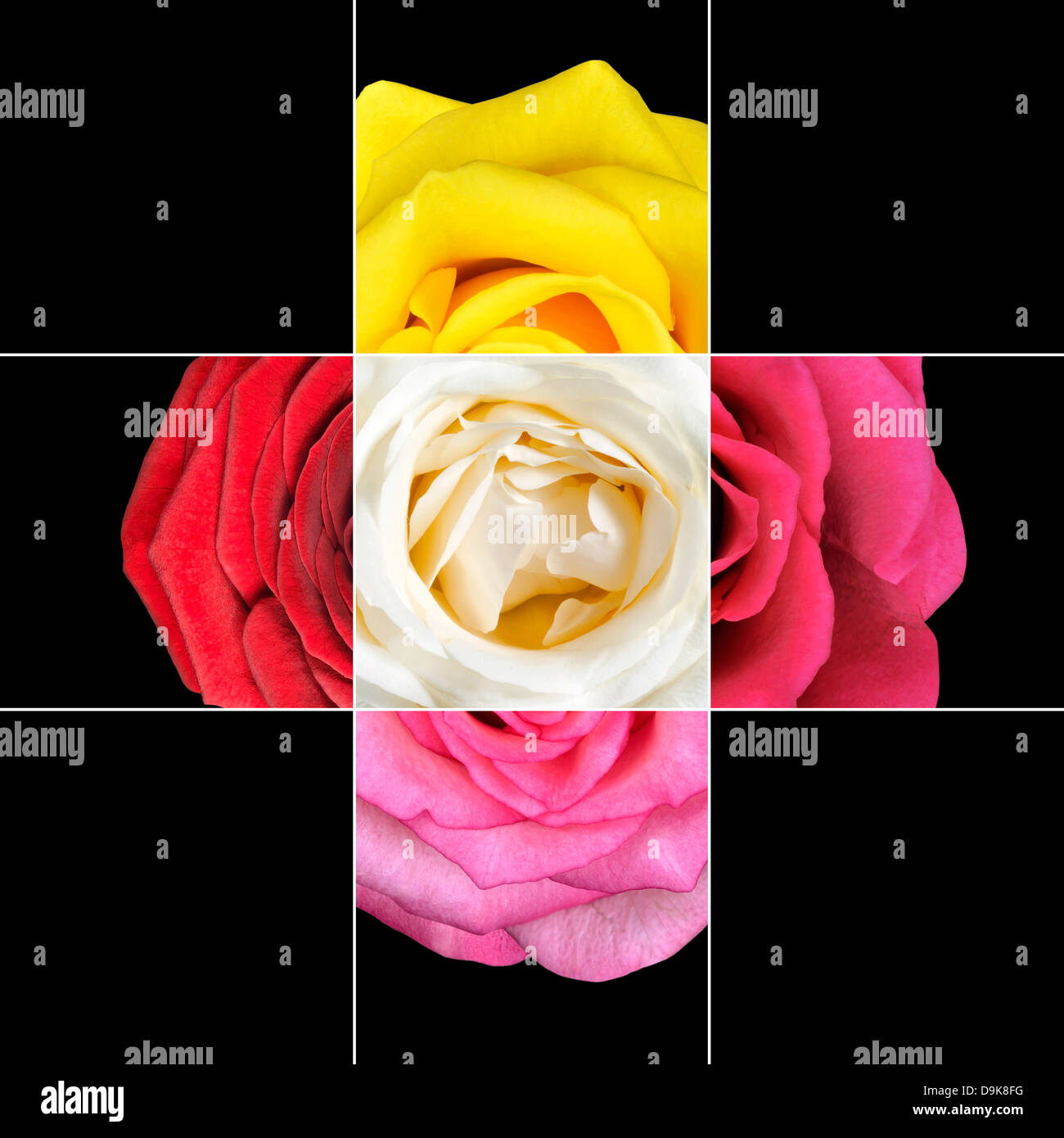 Colorful Rose Flower mosaic design which is consisting of 9 squares on ...