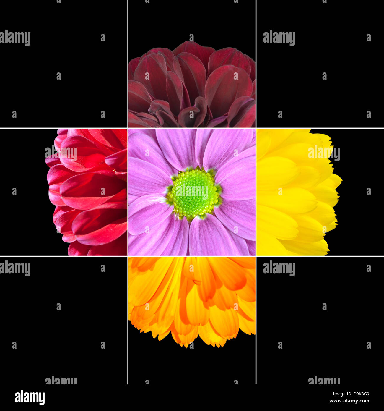 Colorful Daisy Flower mosaic design which is consisting of 9 squares on ...