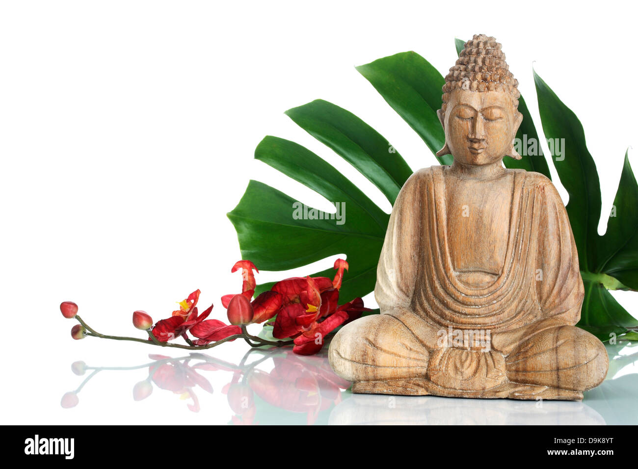 Buddhas flower hi-res stock photography and images - Alamy