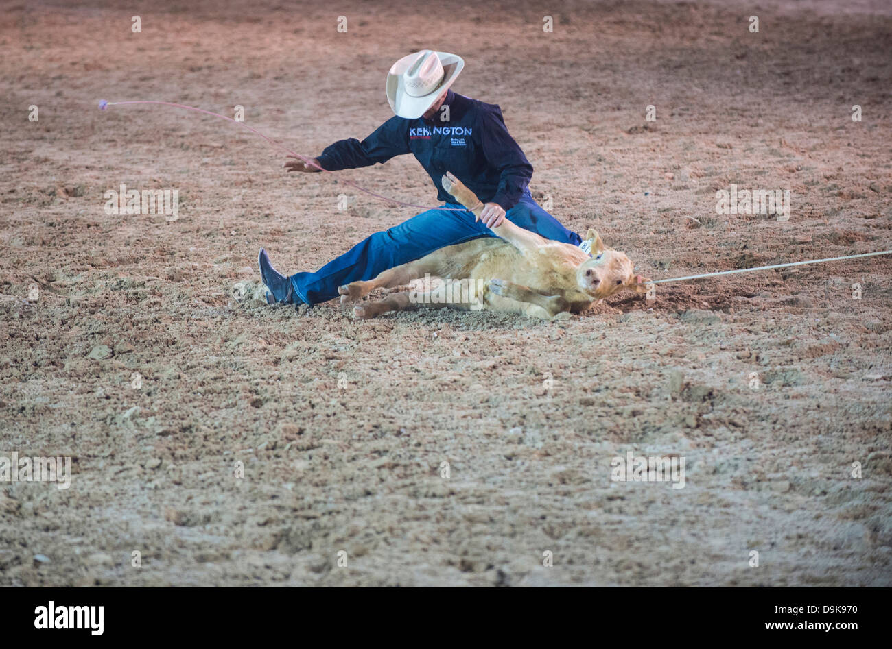 Cowboy roping while riding hi-res stock photography and images - Alamy