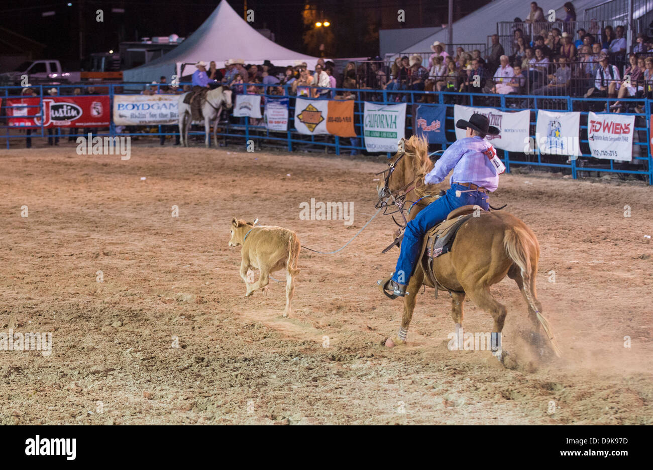 Cowboy Participant in a Calf roping Competition at the Helldorado Days ...