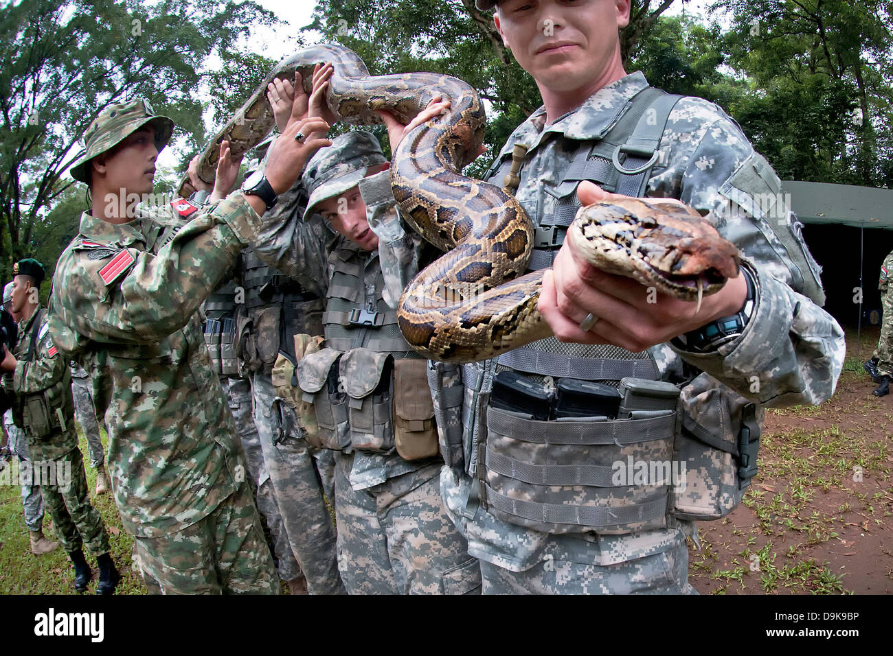 US Army paratroopers with the 82nd Airborne Division hold a large ...