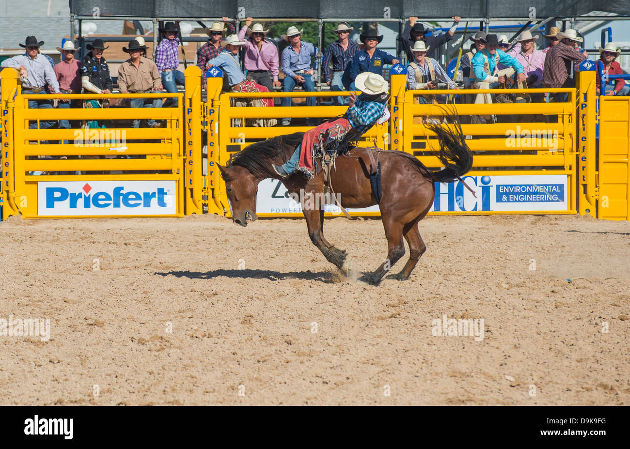 Cowboy Participant in a Bucking horse Competition at the Helldorado ...