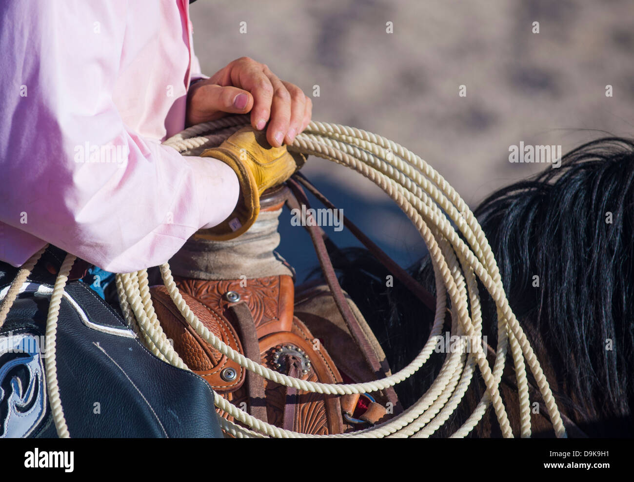 Cowboy with rope hi-res stock photography and images - Alamy