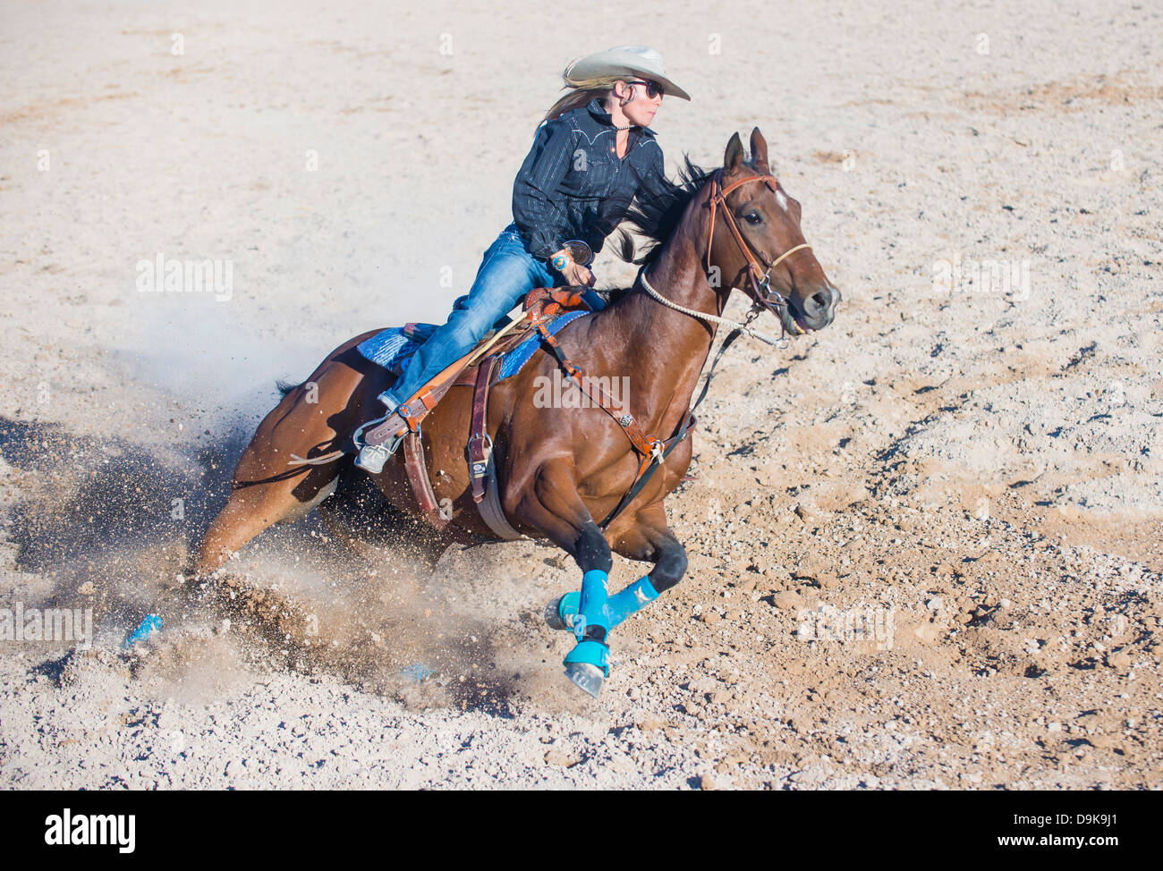 Cowgirl Participant in a Barrel racing competition at the Helldorado ...