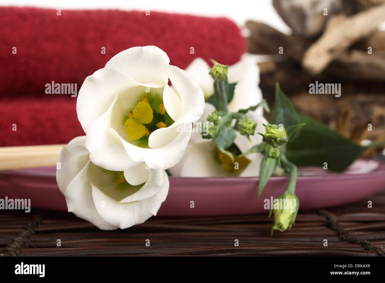 Flowers on a plate Stock Photo - Alamy