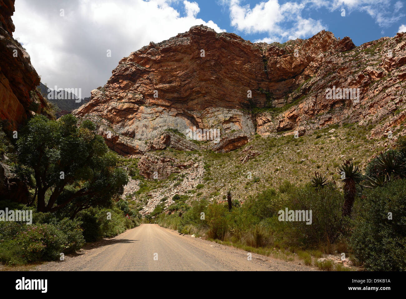 Ladismith High Resolution Stock Photography and Images - Alamy