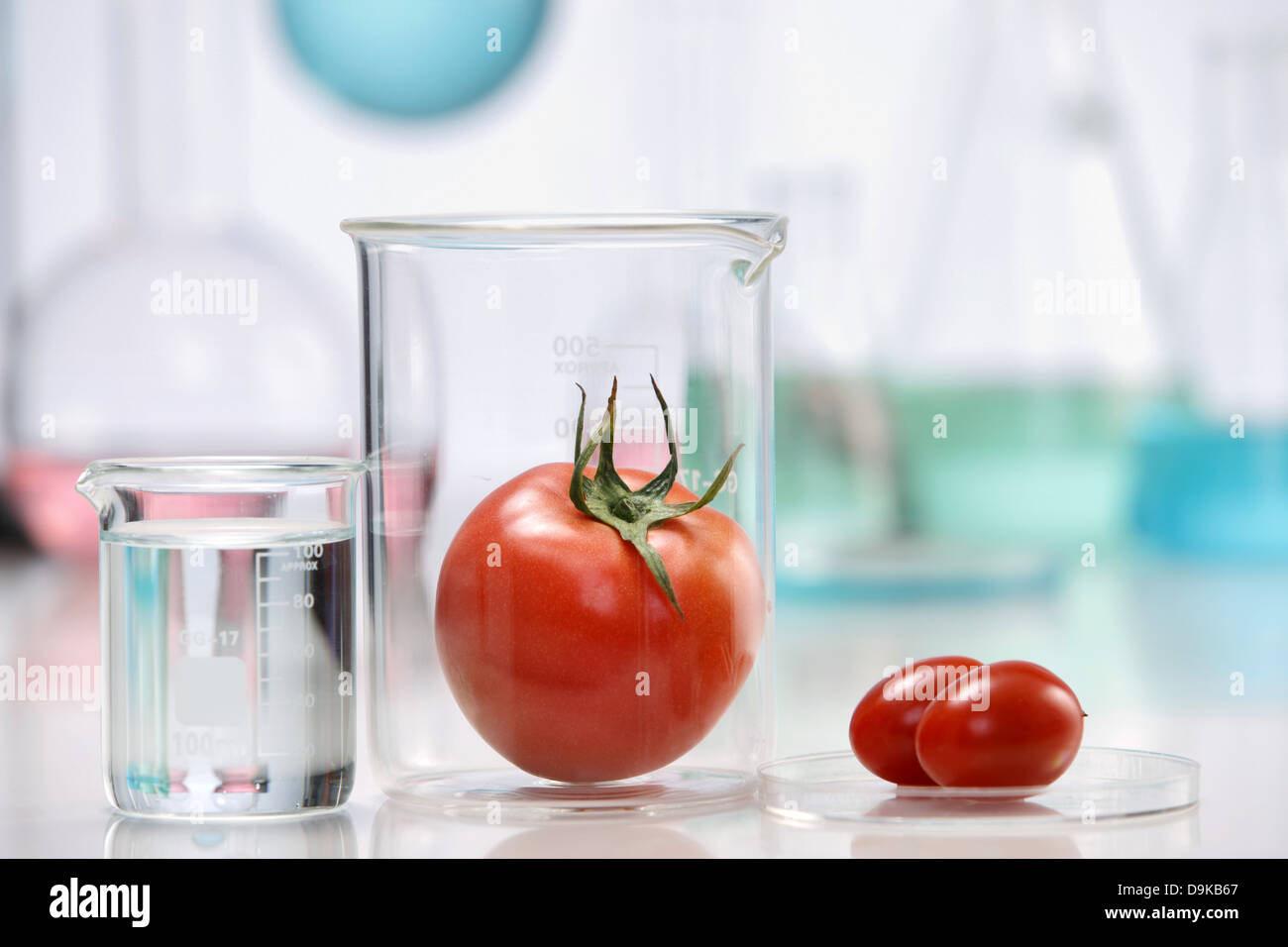 Tomato in laboratory container Stock Photo - Alamy