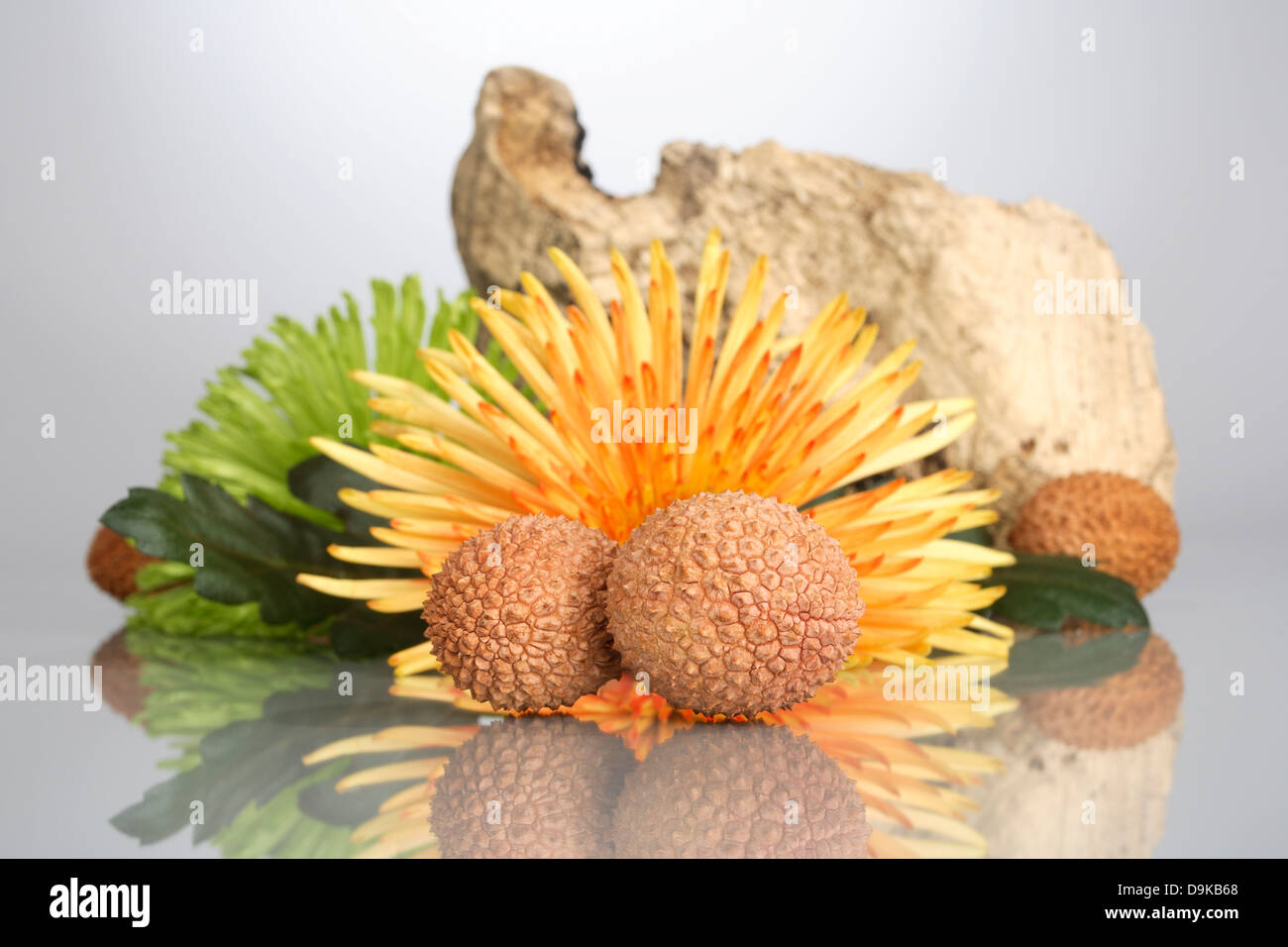 Asters and fruit hi-res stock photography and images - Alamy