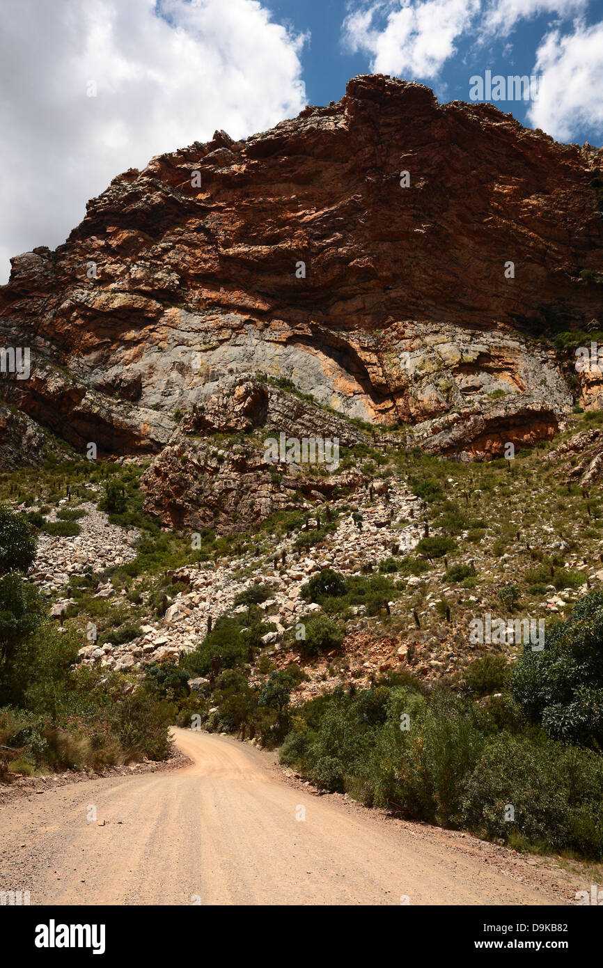 Ladismith hi-res stock photography and images - Alamy