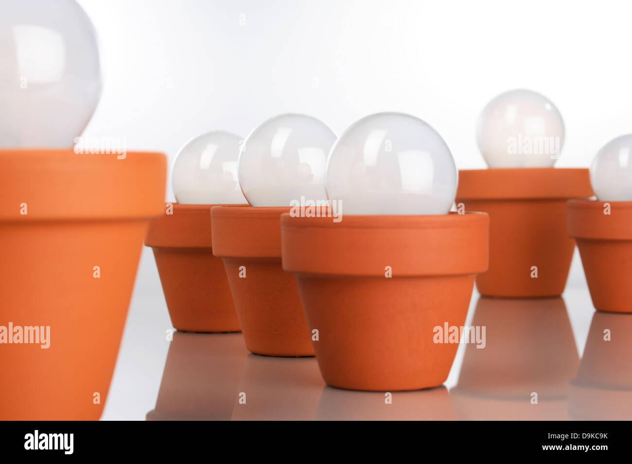 Bulbs in container hi-res stock photography and images - Alamy