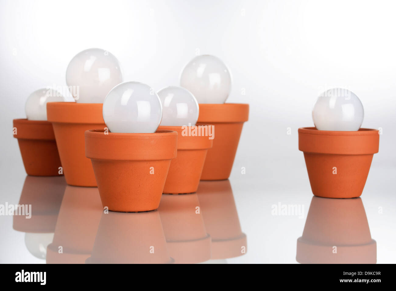 Bulbs in container hi-res stock photography and images - Alamy