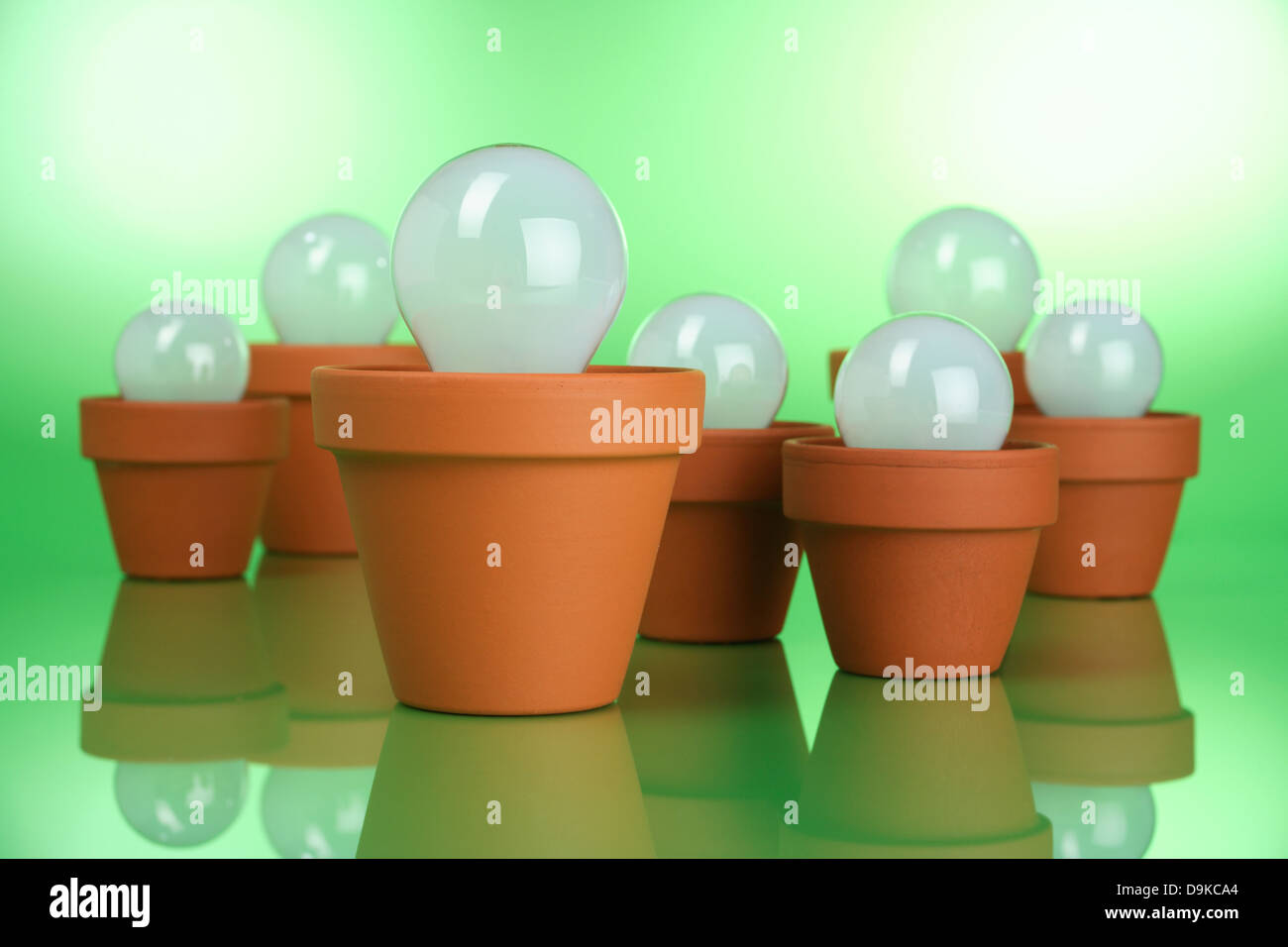 Bulbs in container hi-res stock photography and images - Alamy