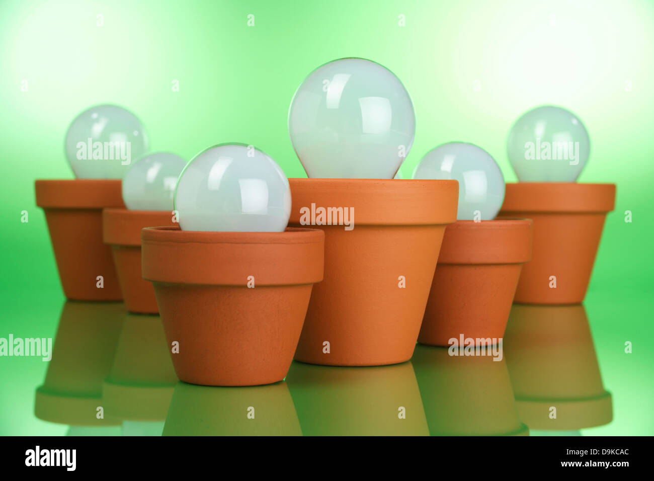 Bulbs in container hi-res stock photography and images - Alamy