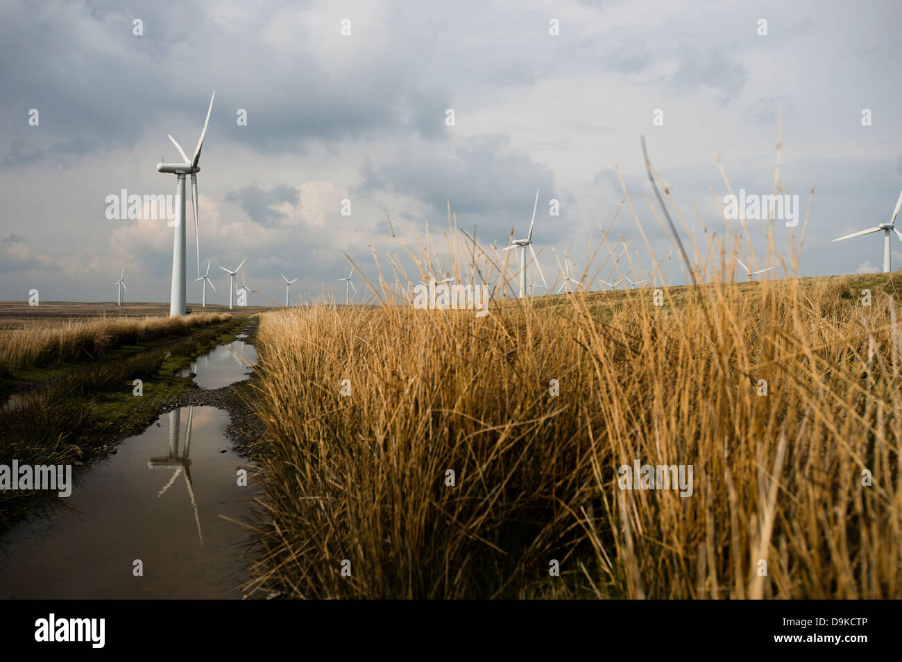 Carno Wind Farm High Resolution Stock Photography and Images - Alamy