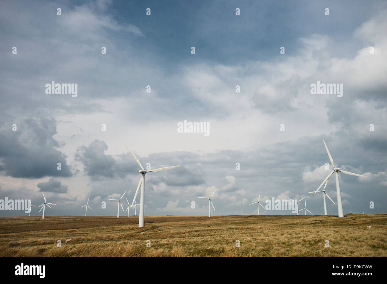 Carno wind farm, Powys, Mid Wales, UK Stock Photo - Alamy