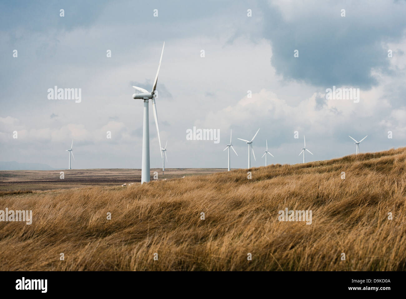 Carno wind farm, Powys, Mid Wales, UK Stock Photo - Alamy
