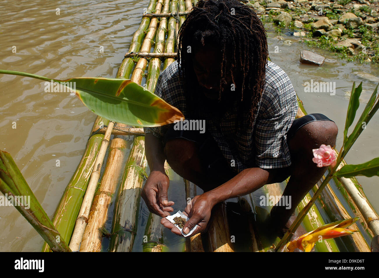 Marijuana Joint Jamaica High Resolution Stock Photography and Images ...