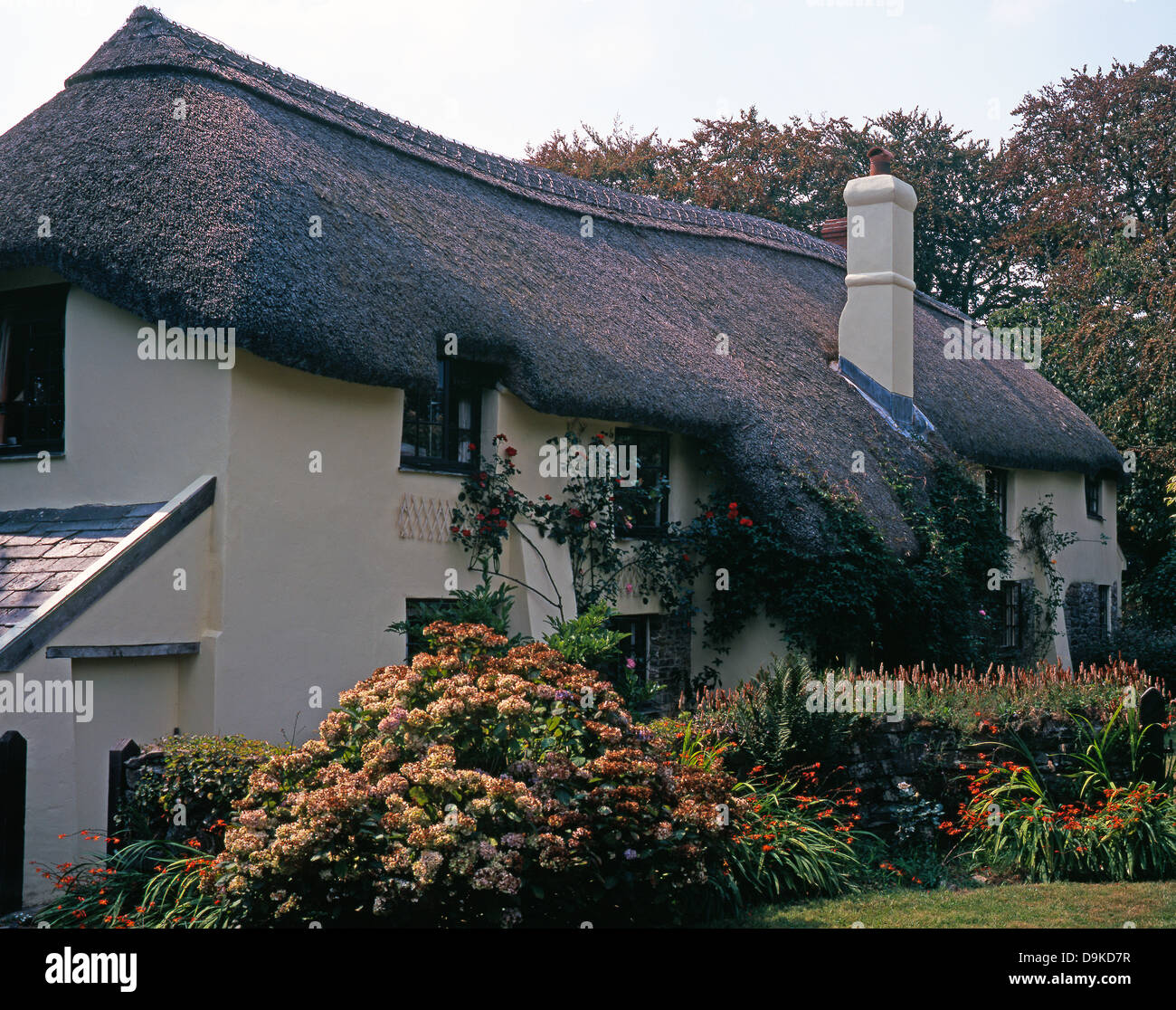A traditional, pretty, painted, thatched roof cottage and garden, which ...