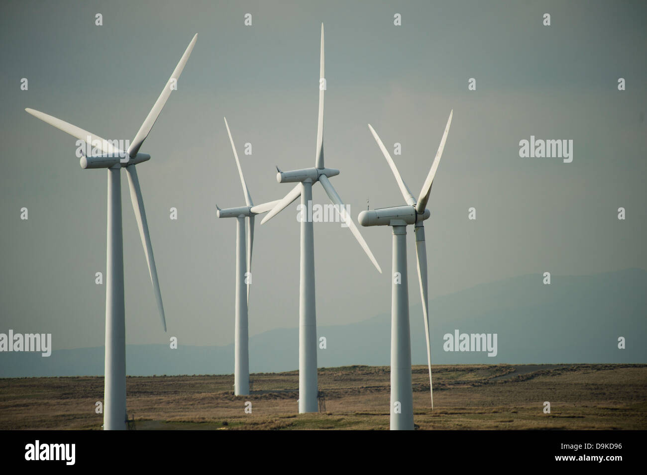 Carno Wind Farm High Resolution Stock Photography and Images - Alamy