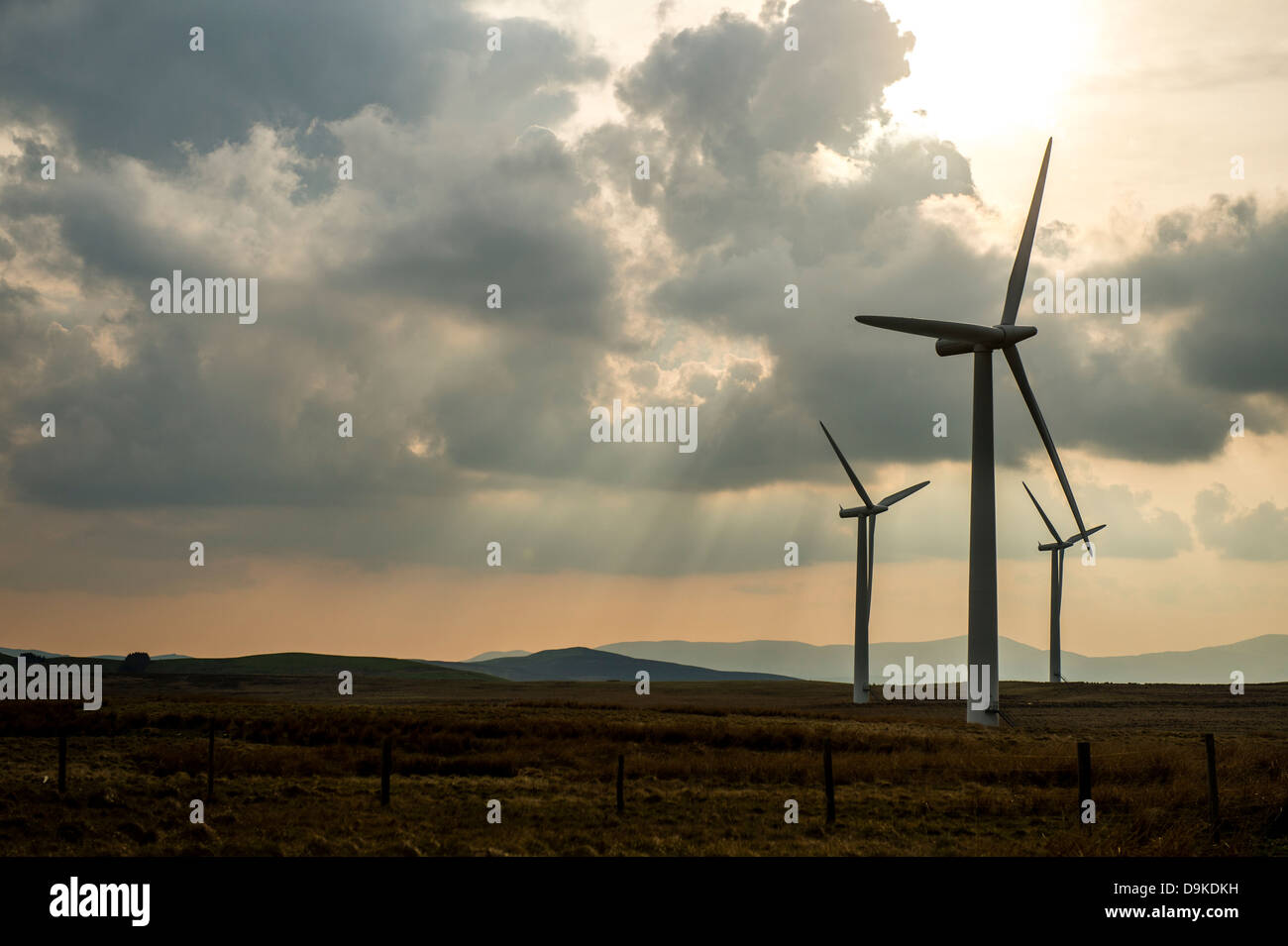 Carno 2 wind farm, Powys, Mid Wales, UK Stock Photo - Alamy