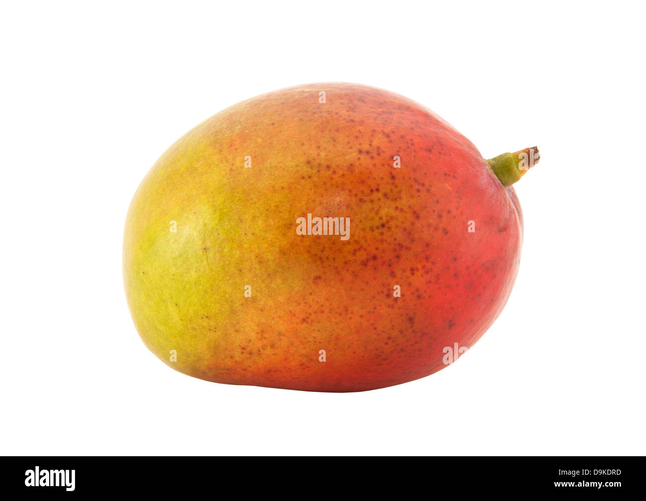 Mango isolated on white Stock Photo - Alamy