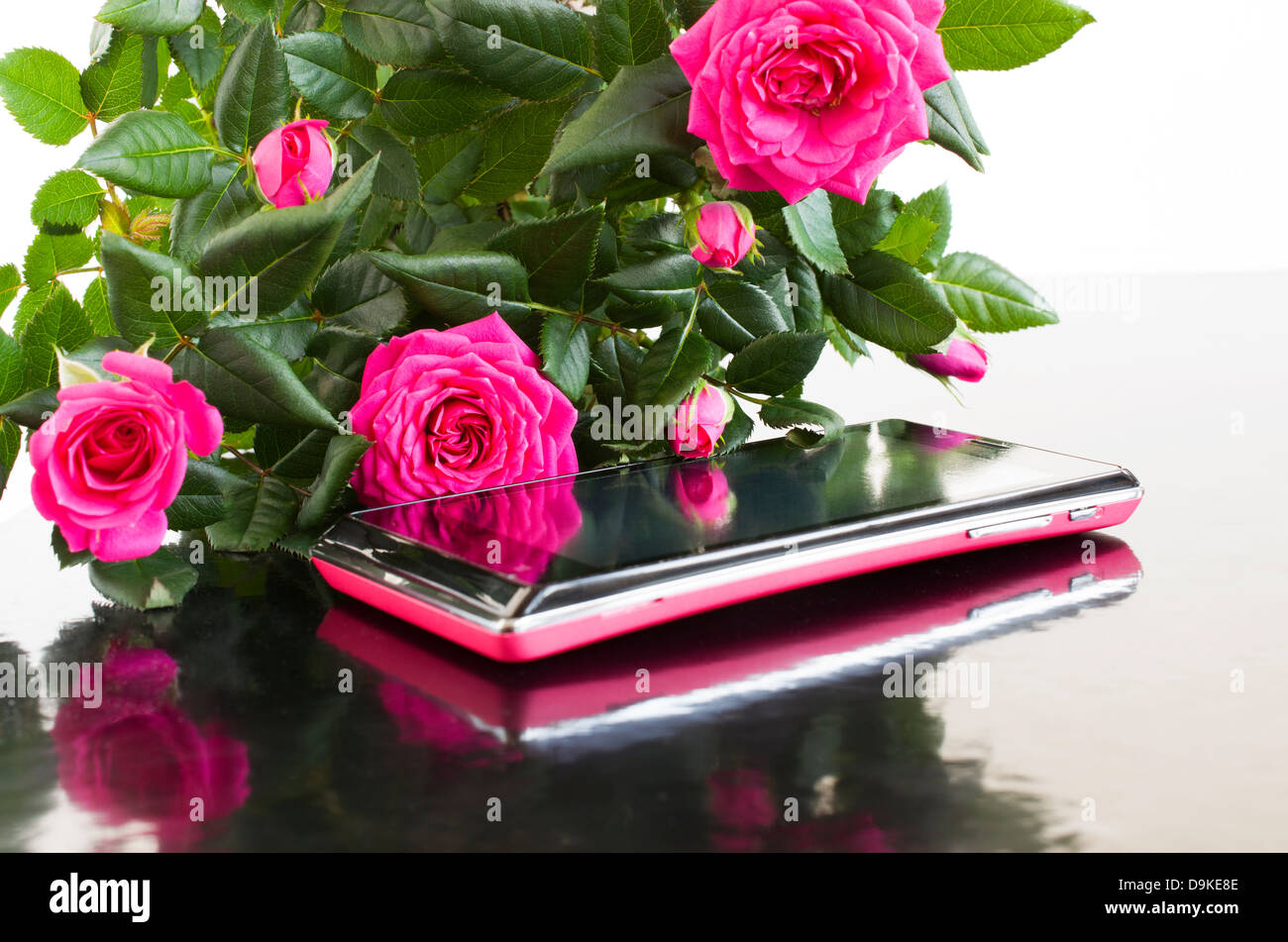 Telephone and roses hi-res stock photography and images - Alamy