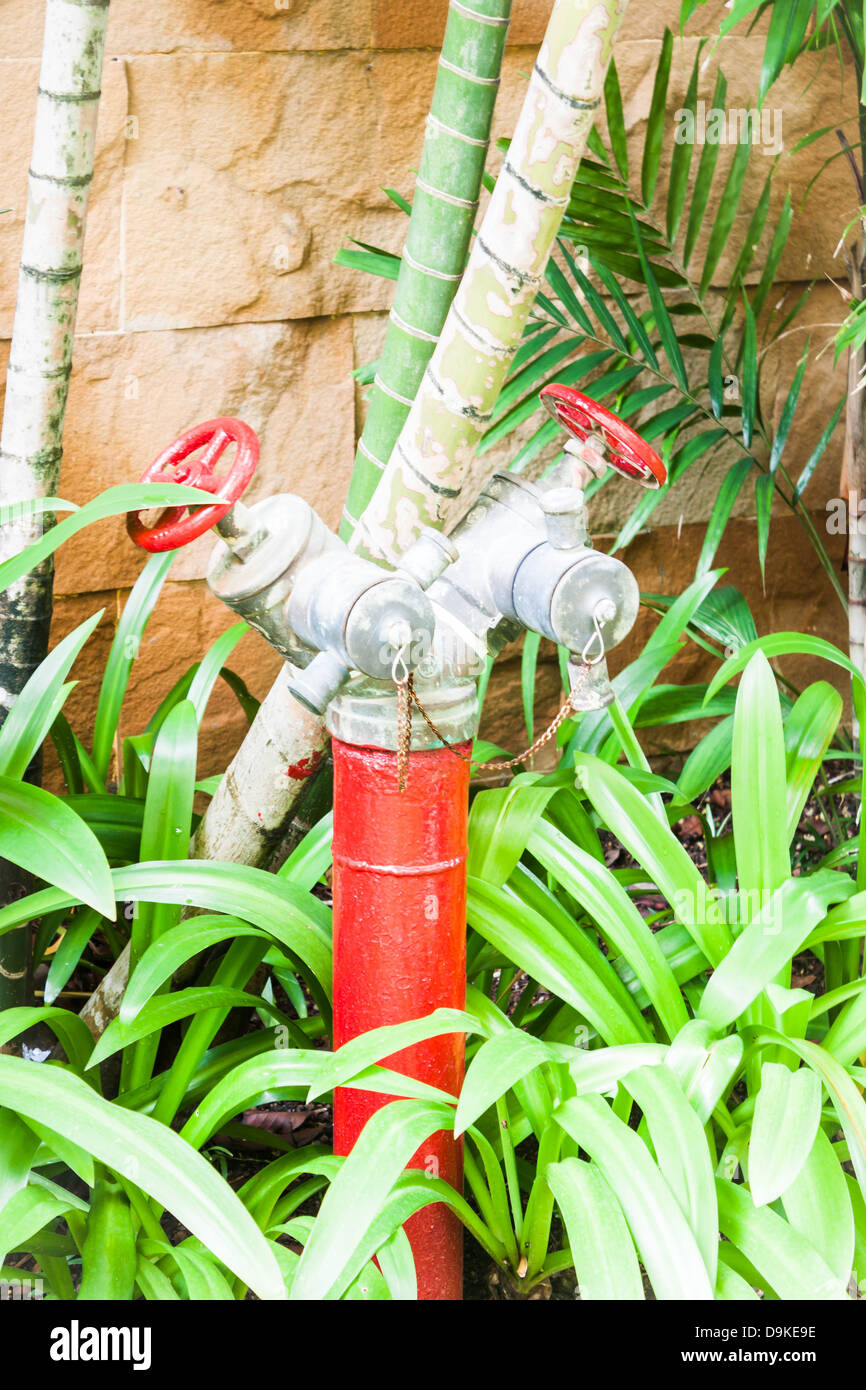 Red metallic fire hydrant in green garden Stock Photo - Alamy