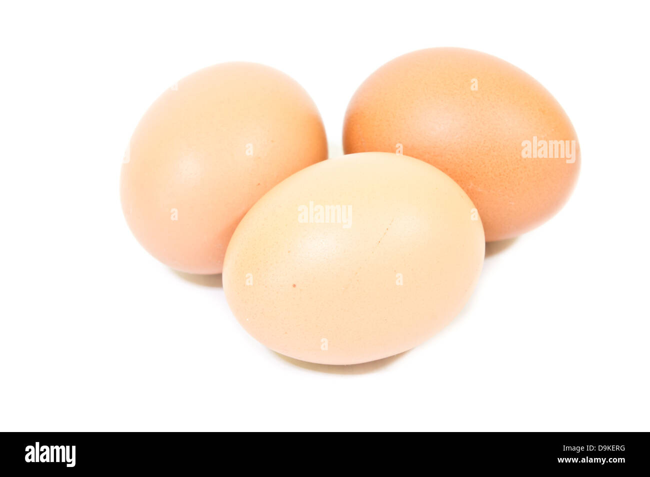 The closeup of egg isolated on white background Stock Photo - Alamy