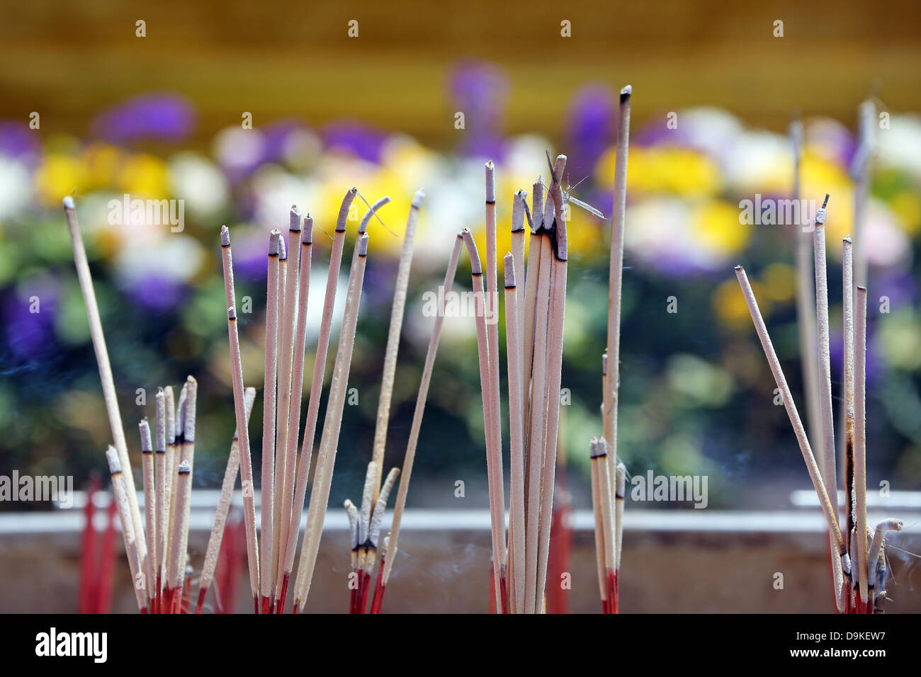 Bangkok temple incense hi-res stock photography and images - Alamy