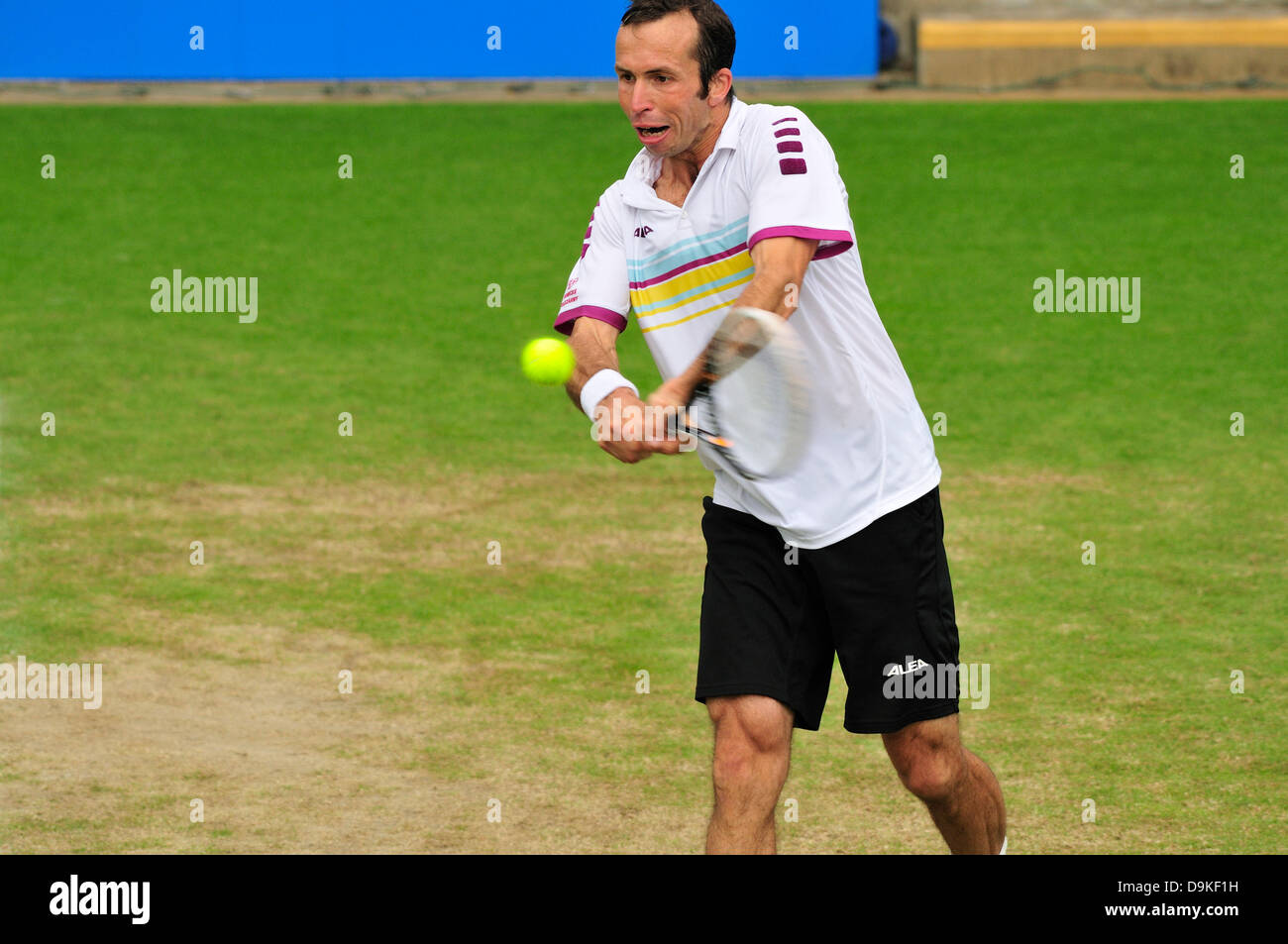 Radek Stepanek (Czech) at Eastbourne 2013 Stock Photo - Alamy