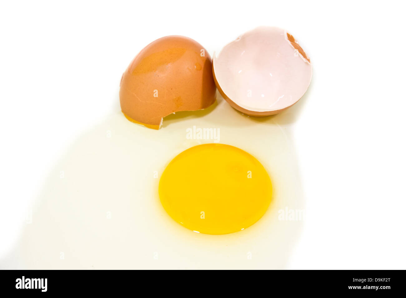 The closeup of egg isolated on white background Stock Photo - Alamy