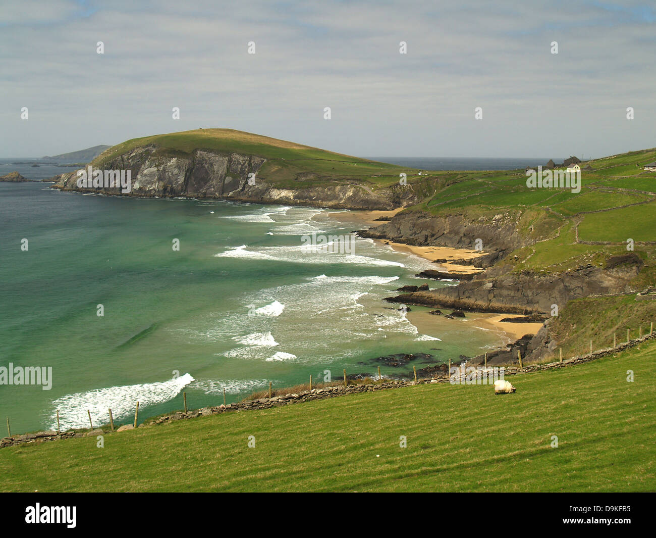Dunmore Head on Slea Head Drive,Dingle Peninsula,Ireland Stock Photo ...