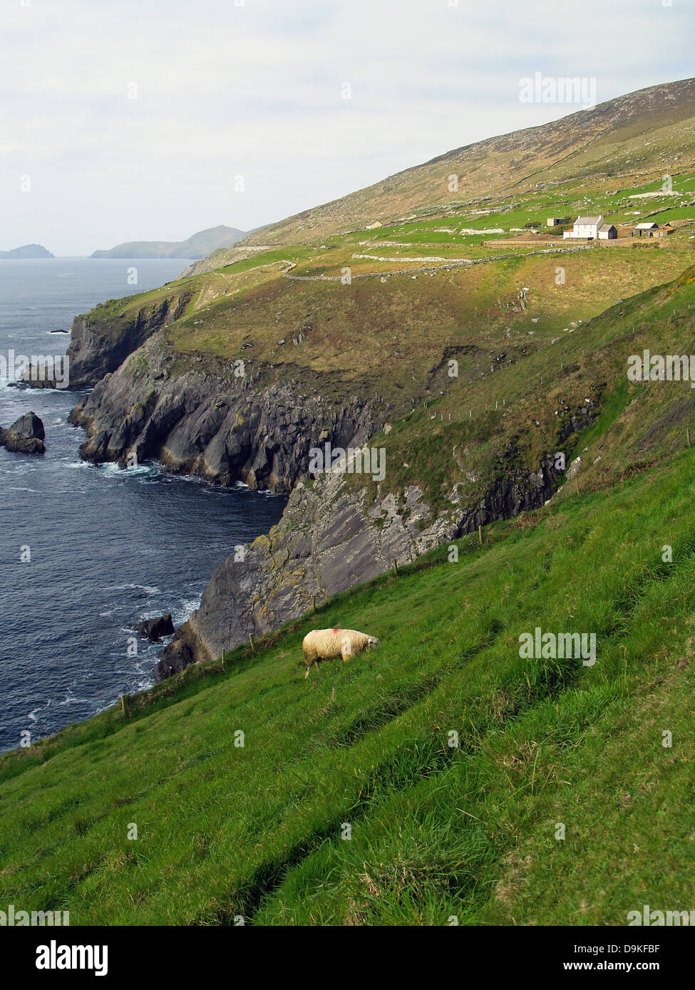 Views from Slea Head Drive,Dingle Peninsula,Ireland Stock Photo - Alamy