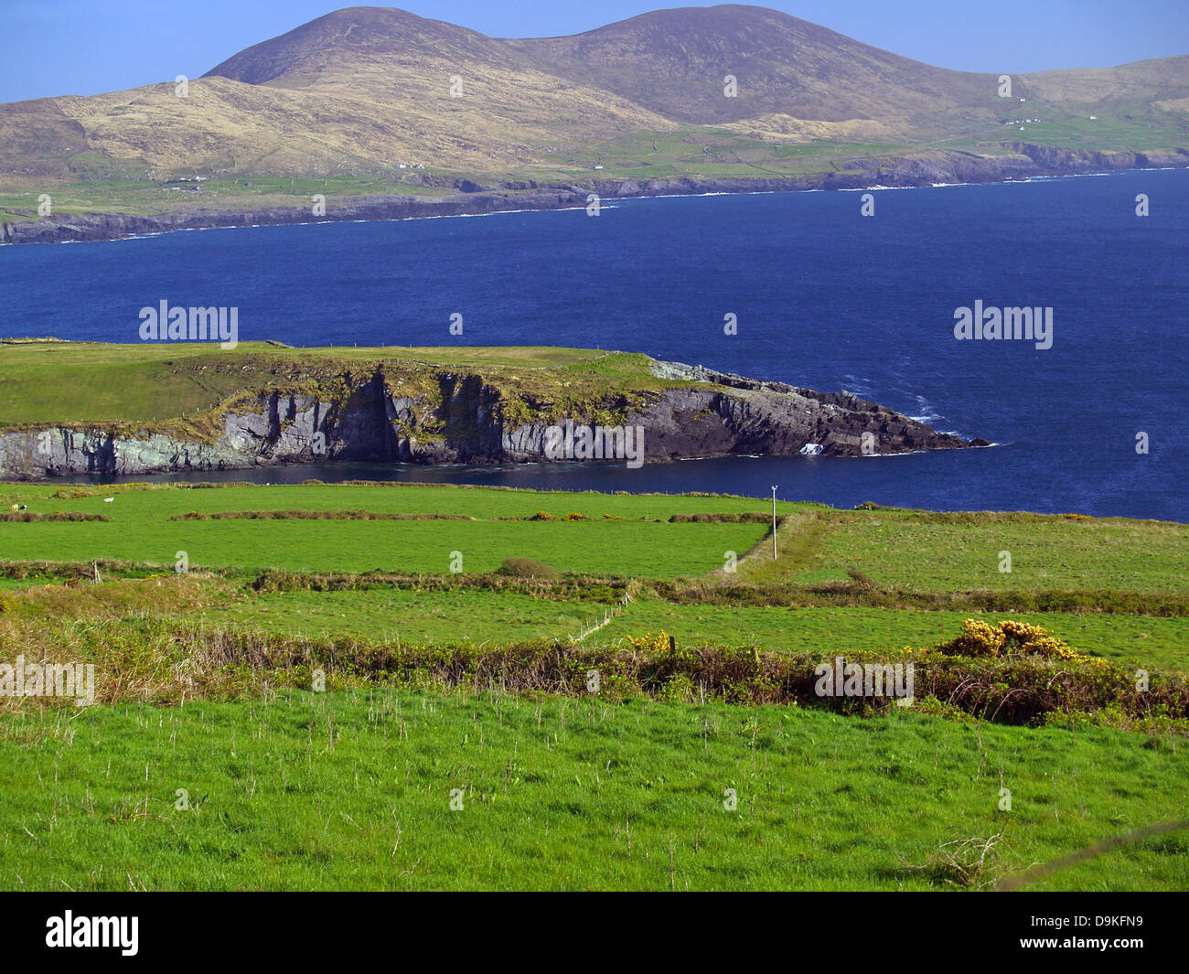 Sybil head hi-res stock photography and images - Alamy