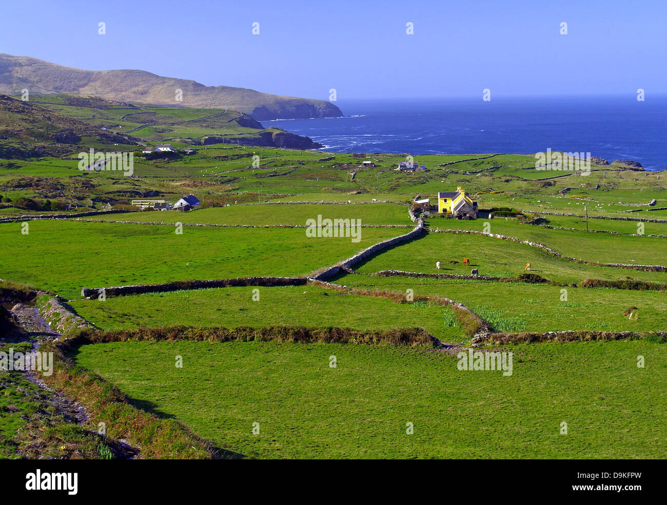 Sheep farmhouse hi-res stock photography and images - Alamy
