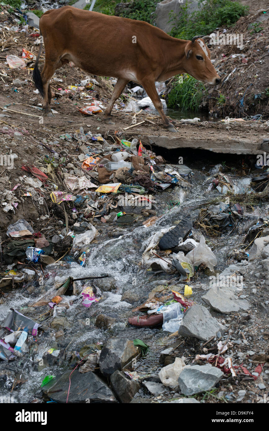 Plastic river india hi-res stock photography and images - Alamy
