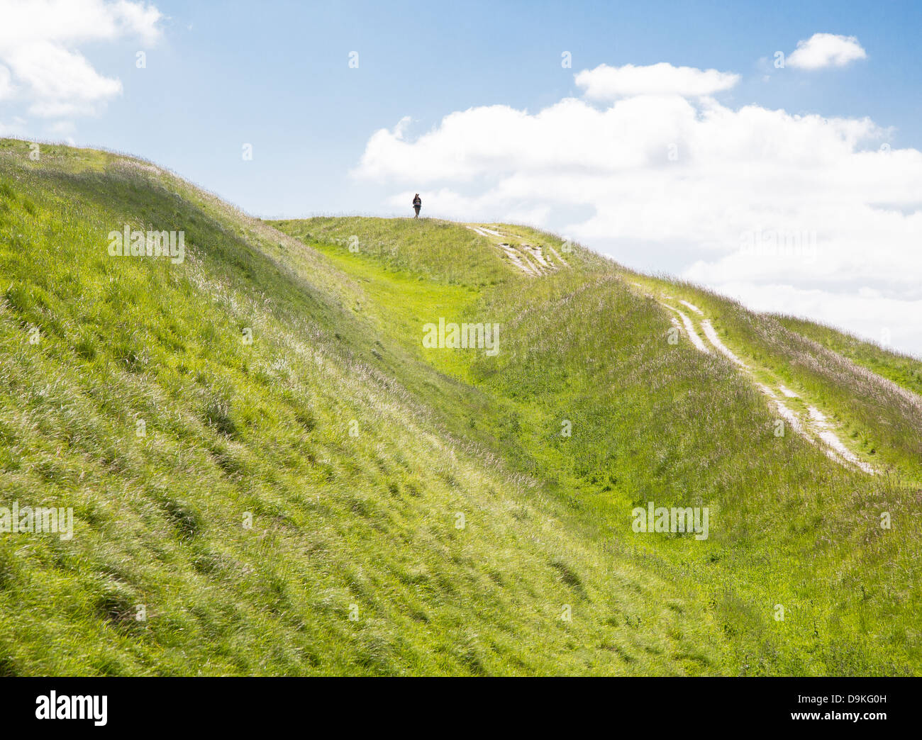 Solitary walker on the chalk earthworks of iron age hill fort Bratton ...