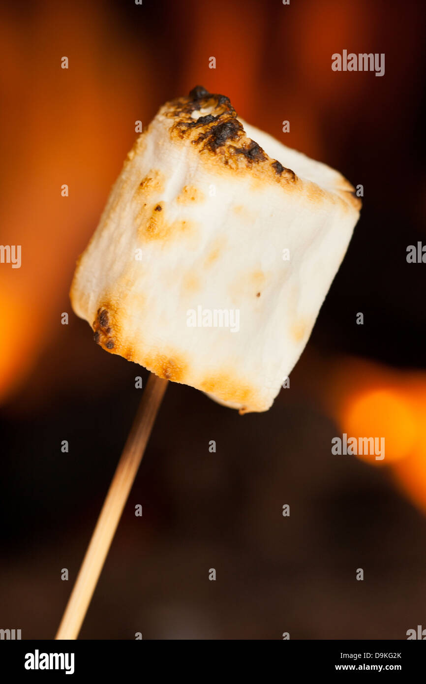 Fire roasted marshmallow hi-res stock photography and images - Alamy