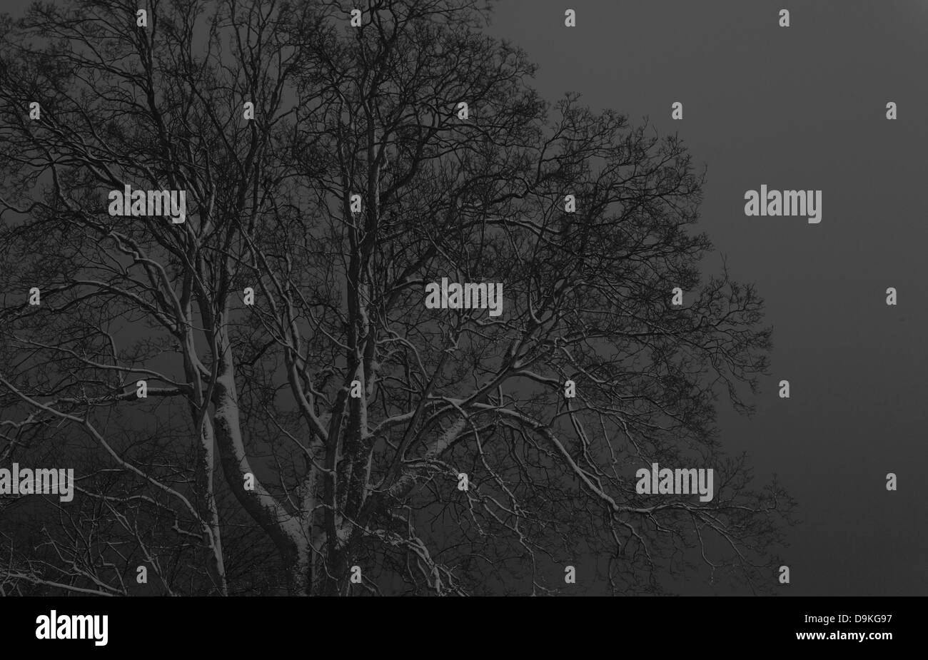 Grey sky Black and White Stock Photos & Images - Alamy