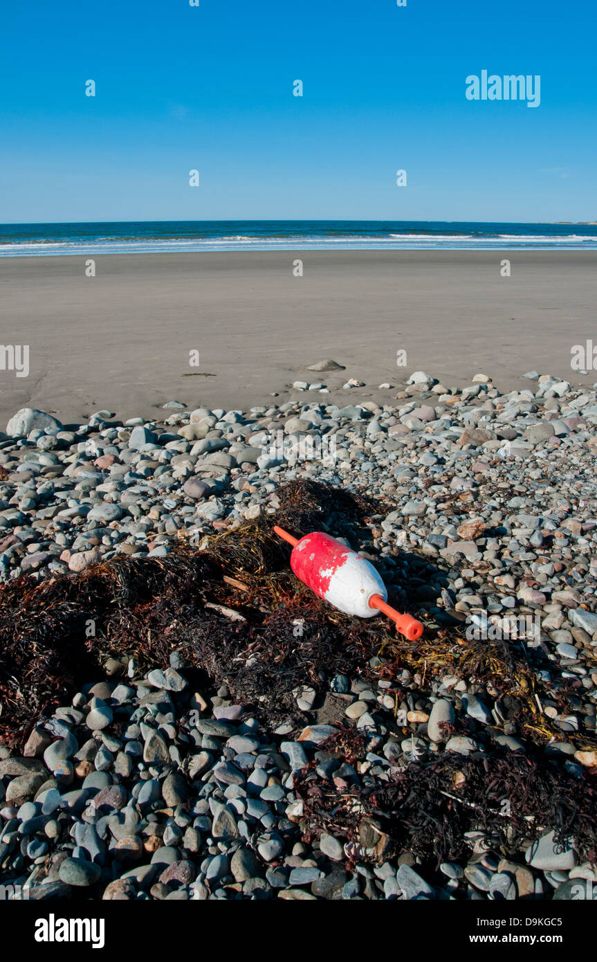 Coastal scene from Nova Scotia, a washed up buoy on a kelp bed on an ...