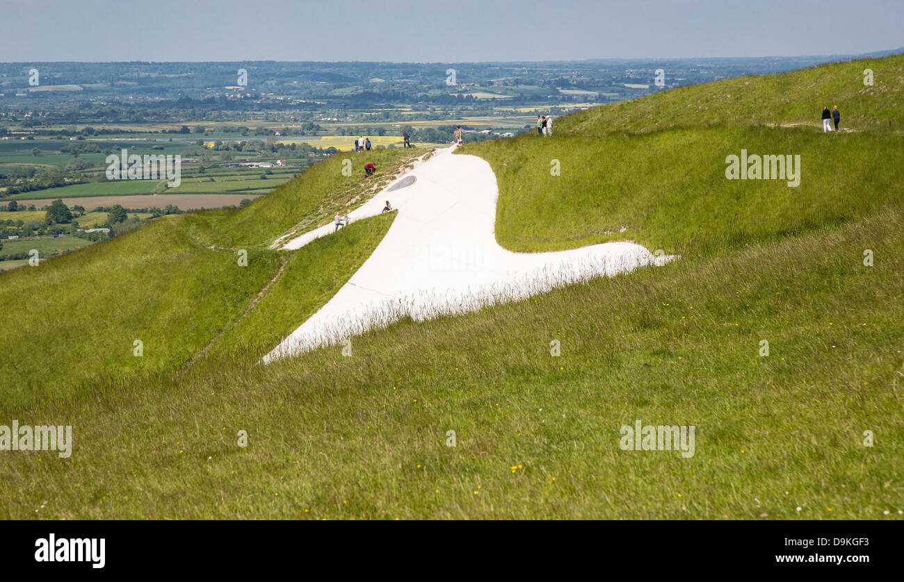 Westbury White Horse and the earthworks of Bratton Camp on the ...