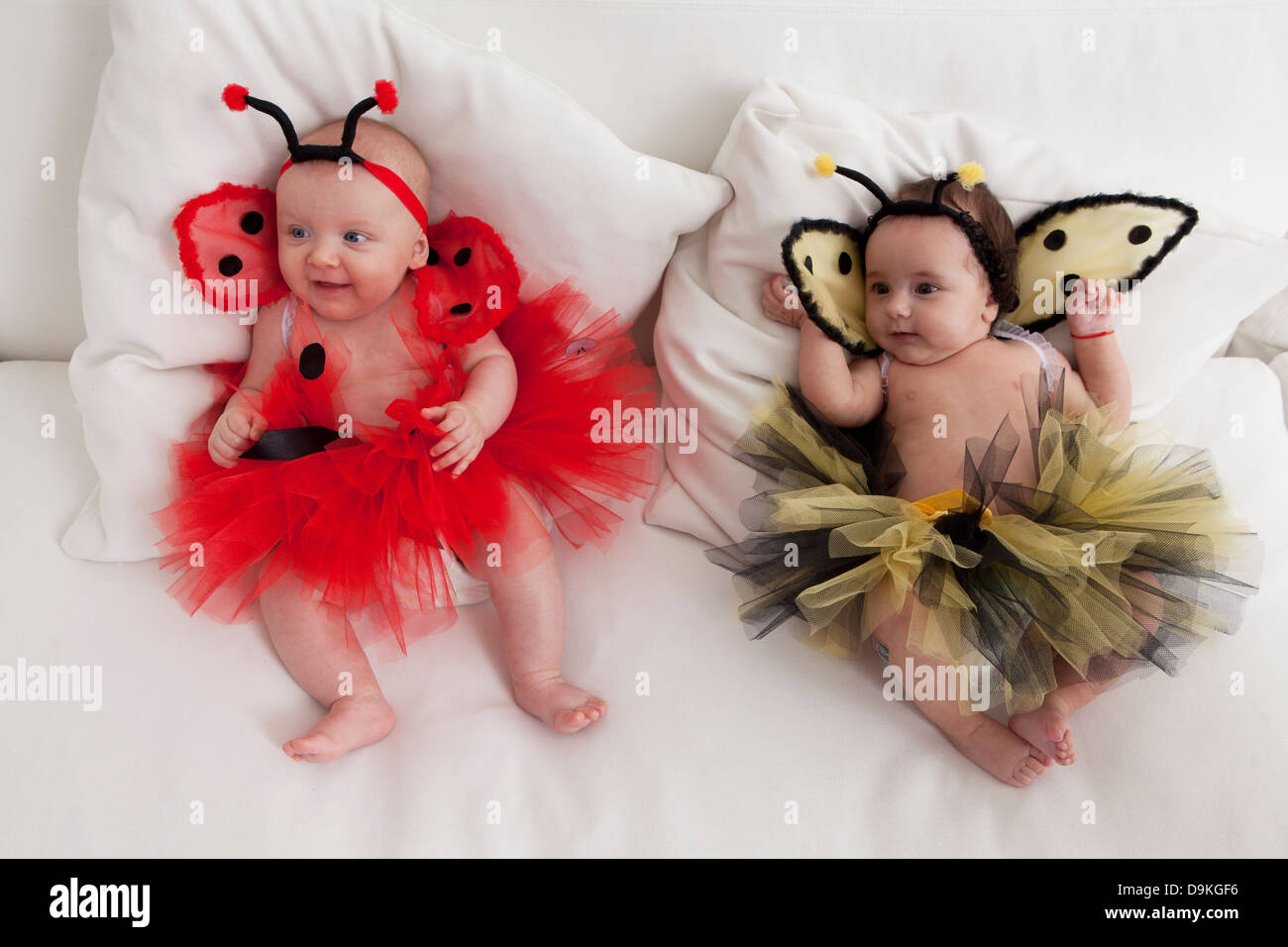 baby girls dressed as insects Stock Photo - Alamy