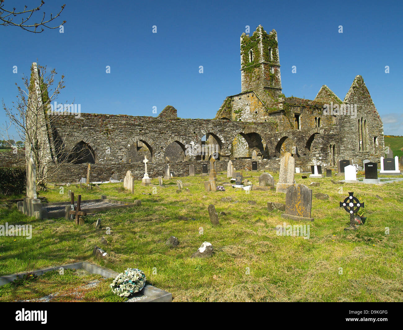 The Timoleague Friary in County Cork,Ireland Stock Photo - Alamy