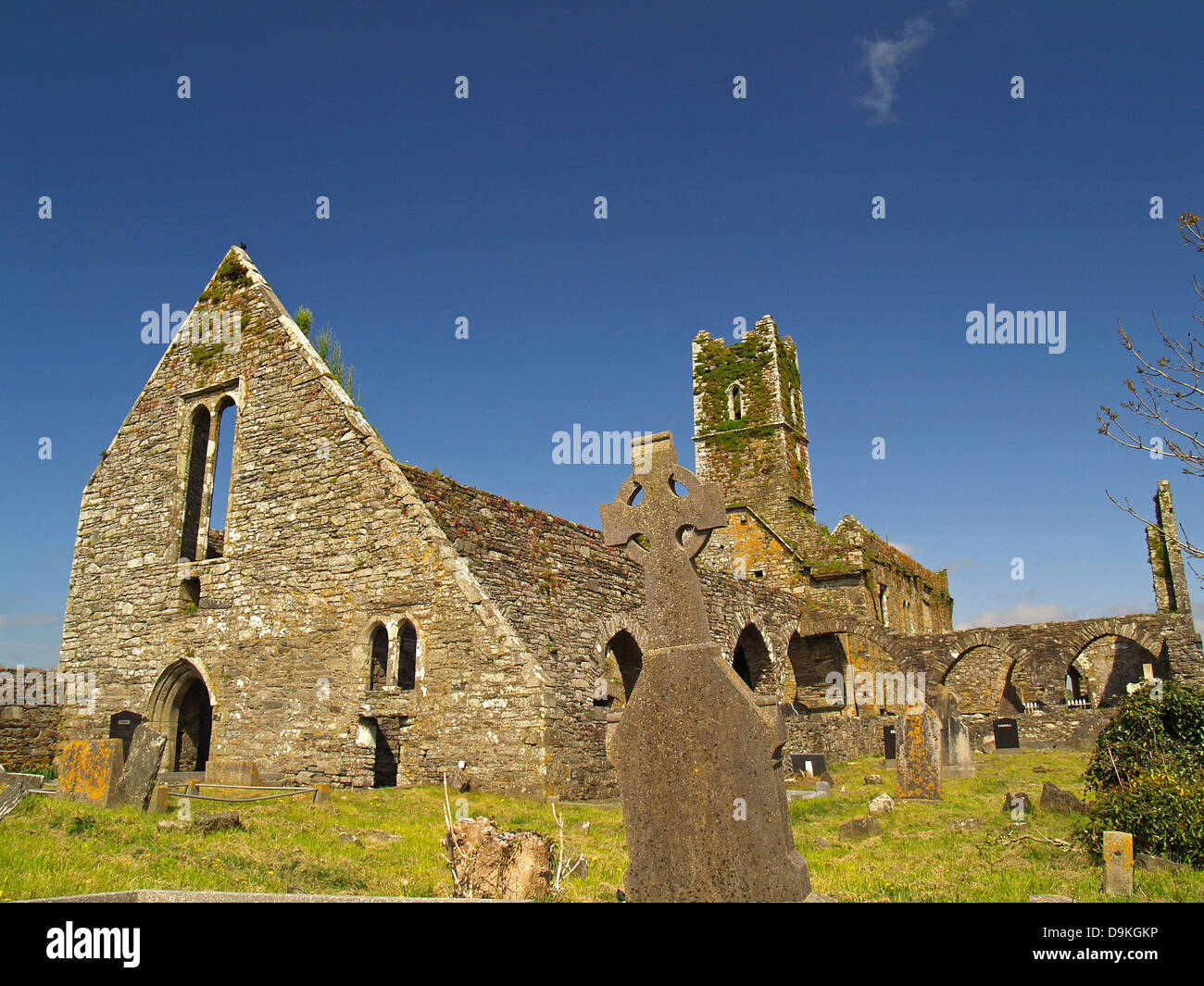 Timoleague friary hi-res stock photography and images - Alamy