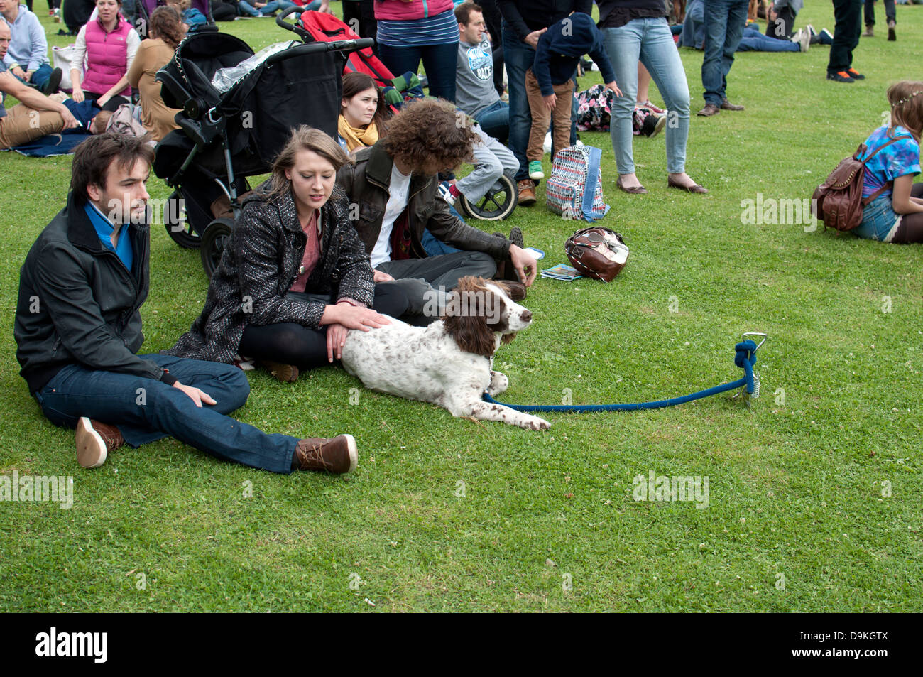 Festival-goers with a dog Stock Photo - Alamy